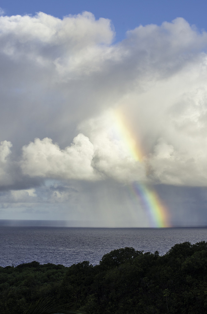 Robert Bush Photography ( Raining Rainbow )