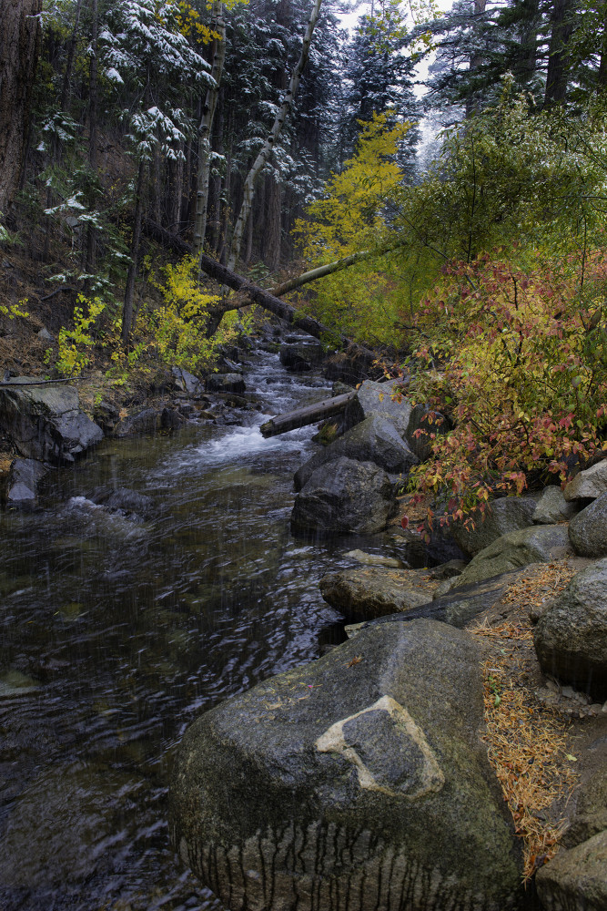 Robert Bush Photography ( Autumn Snow, Lee Vining Canyon )