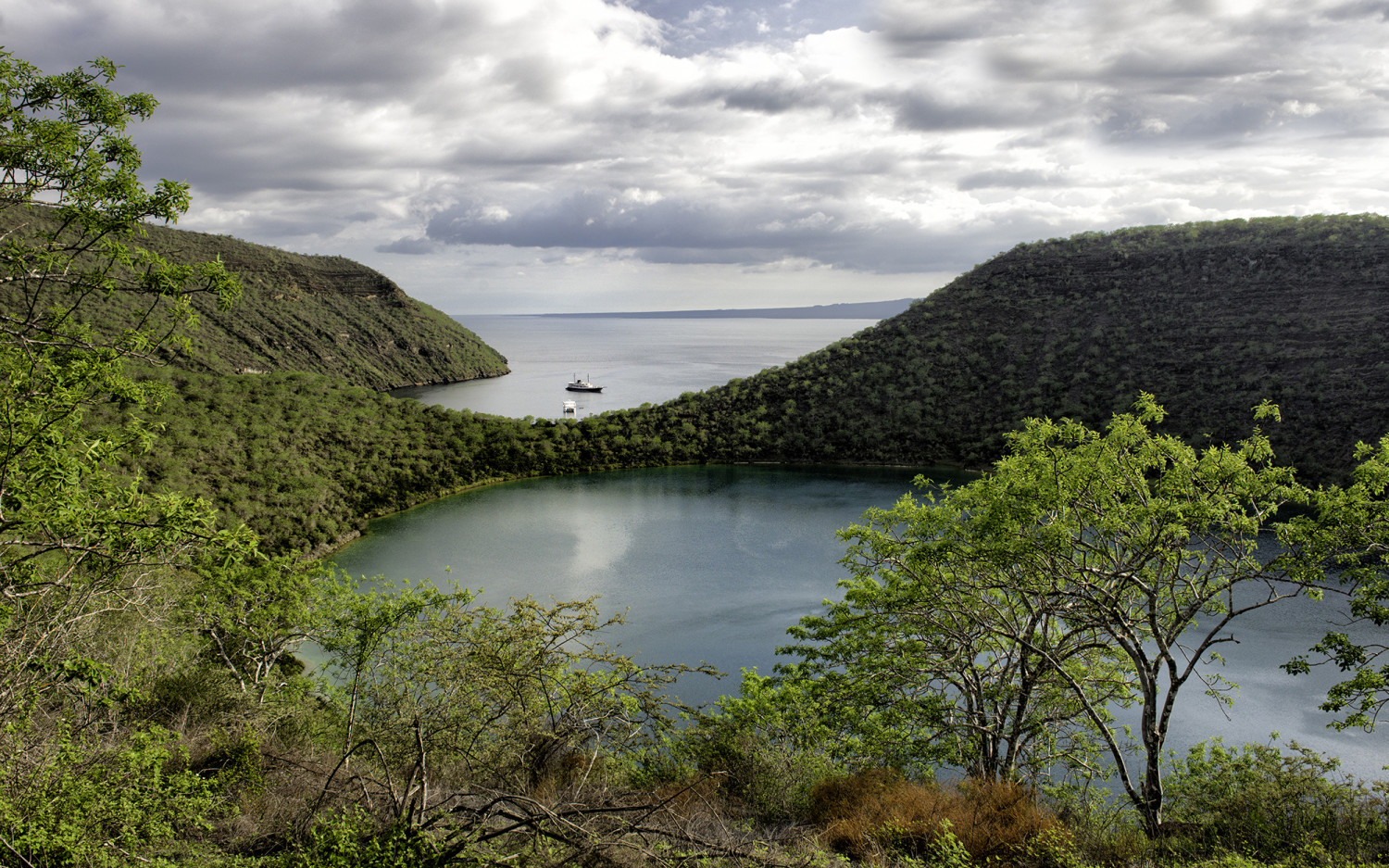 Robert Bush Photography ( Darwin Lake )