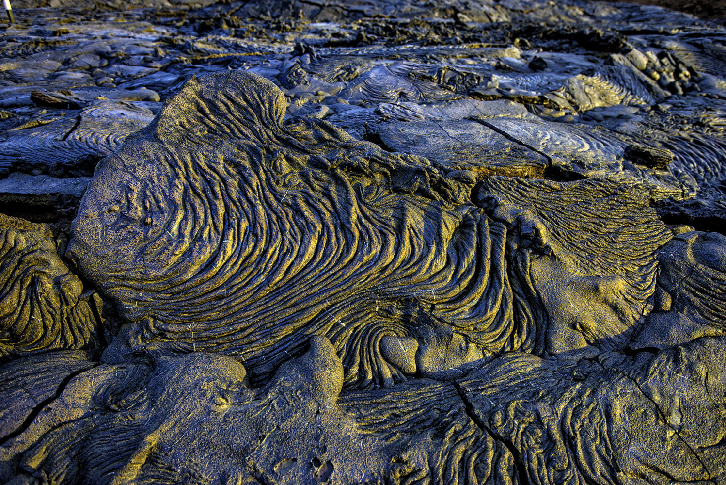 Robert Bush Photography ( Pahoehoe Woman )
